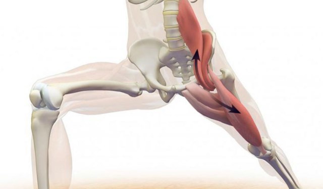 How to Stretch the Psoas - Biocalhealth